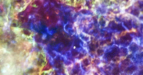 Astronomy Colloquium - Adam Burrows | Department of Astronomy